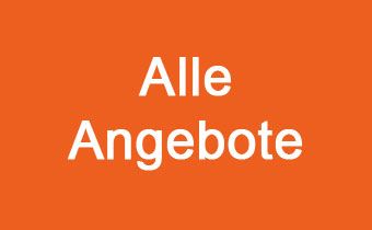 Stanzen Fall Leaves Backdrop | LAWWZ-2703